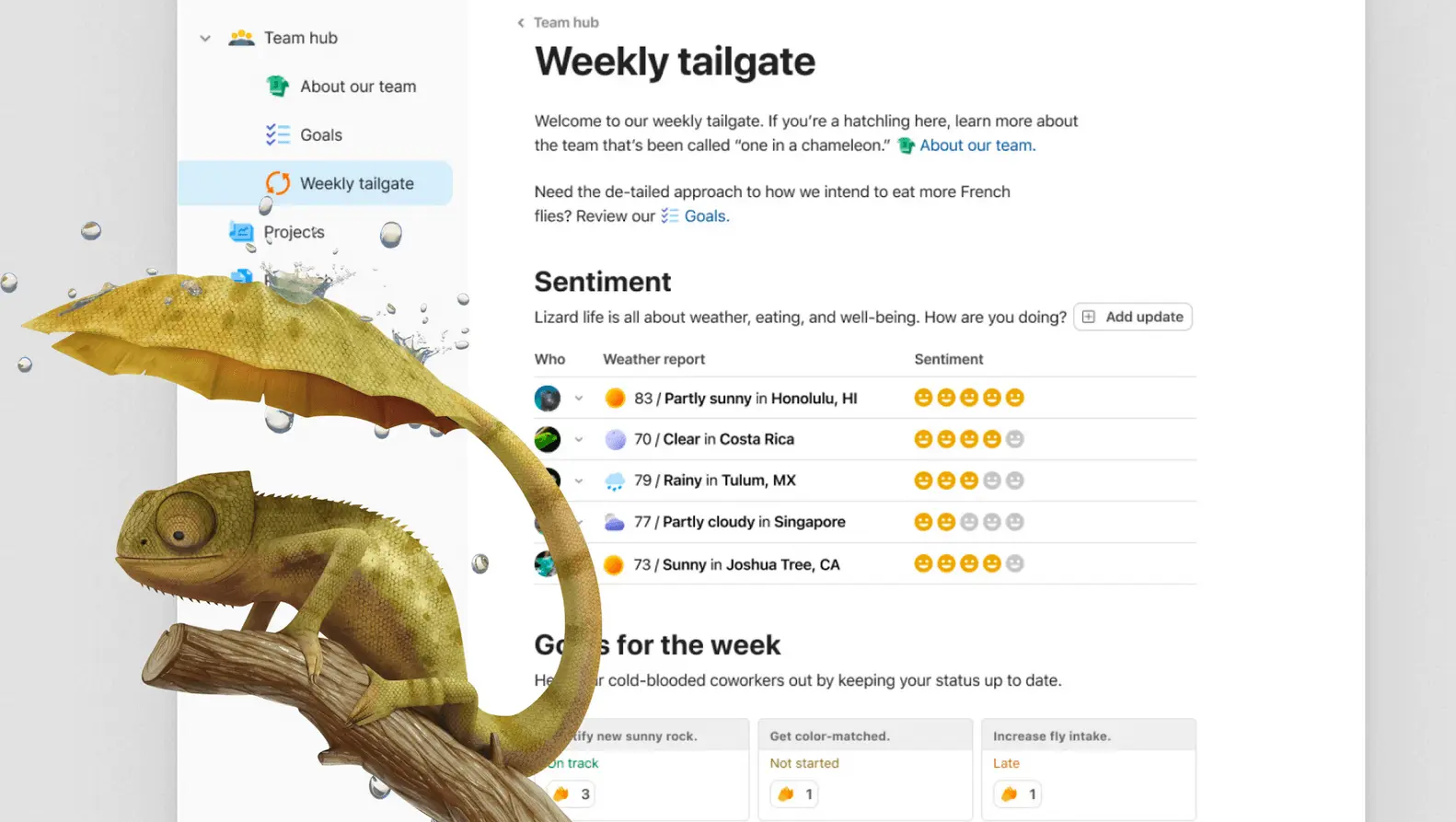 Coda AI - Easy With AI
