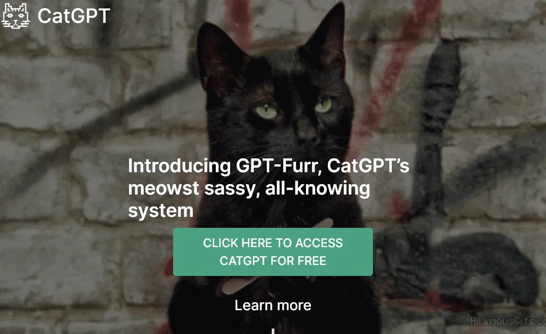 CatGPT - Easy With AI